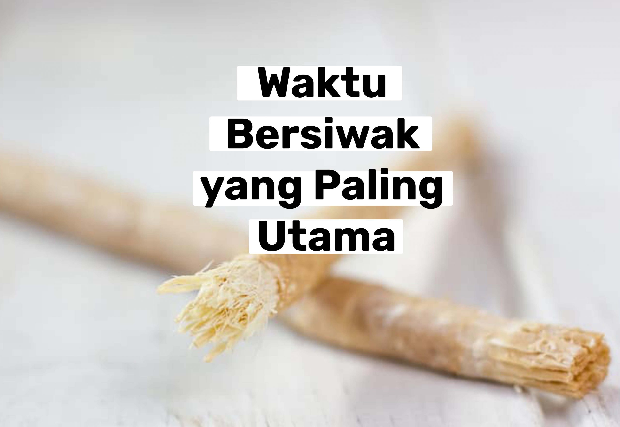 Waktu Bersiwak yang Paling Utama – Jannatul-firdaus.net